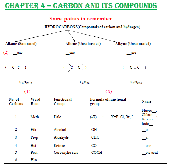 CBSE Class 10 Science Carbon And Its Compounds Worksheet Set A